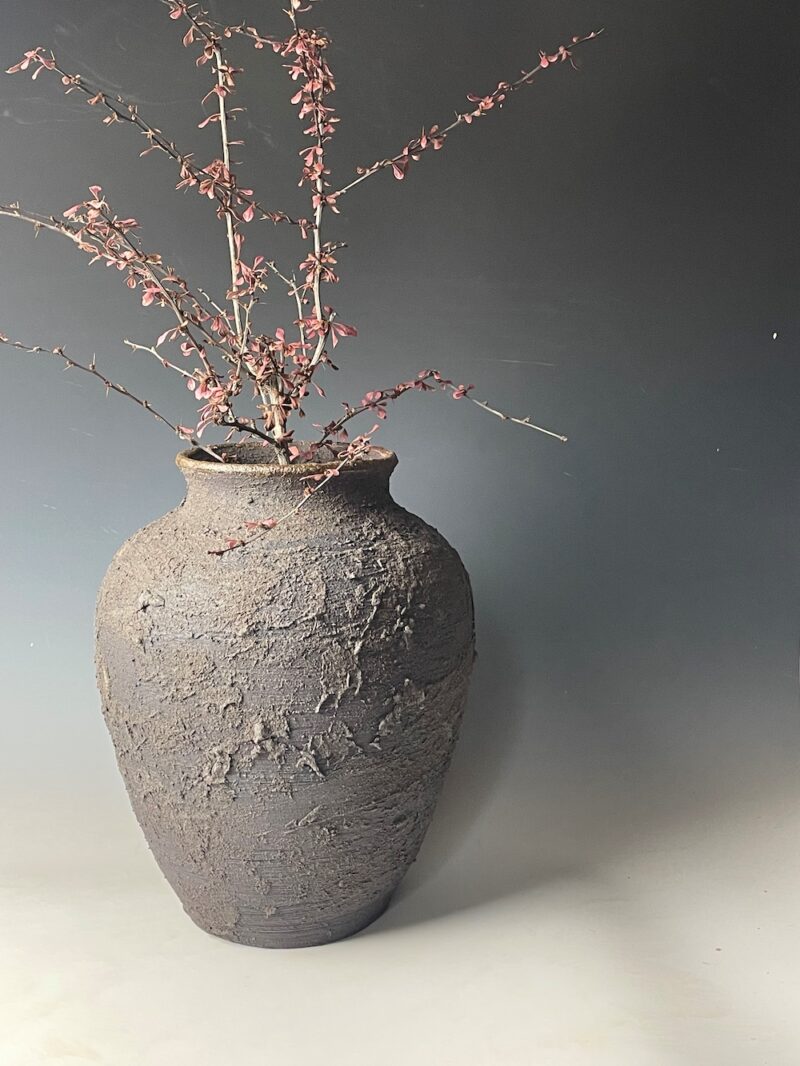 ROB KING - Galisteo Studio Tour & Arts